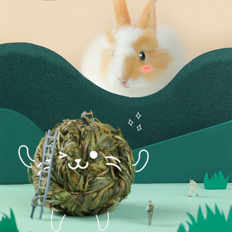 洁西兔子解闷玩具草球提摩西草宠物兔用品龙猫荷兰猪咬啃磨牙零食_虎窝淘