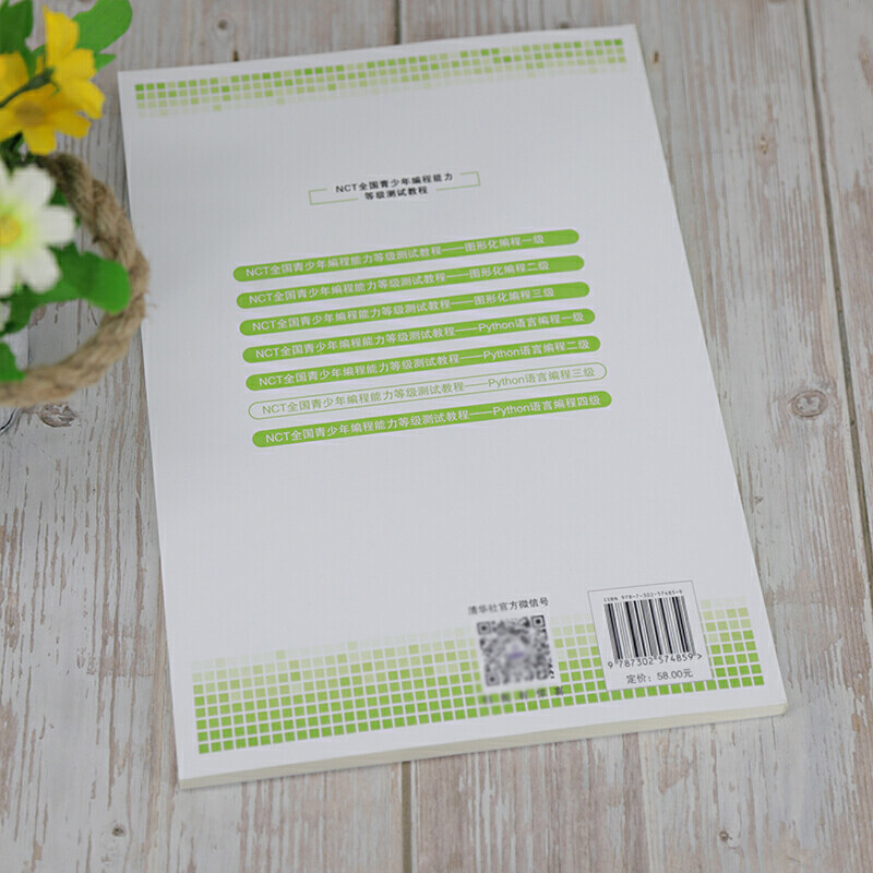 NCT全国青少年编程能力等级测试教程 Python语言编程三级 NCT考试教材书籍 NCT青少年编程能力等级测试考试官方_虎窝淘