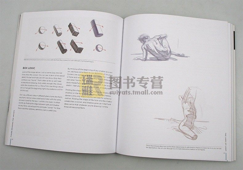 艺术家的人物肖像 英文原版 Figure Drawing for Artists 绘画人物素描艺术书籍 全英文版 Steve Huston ...
