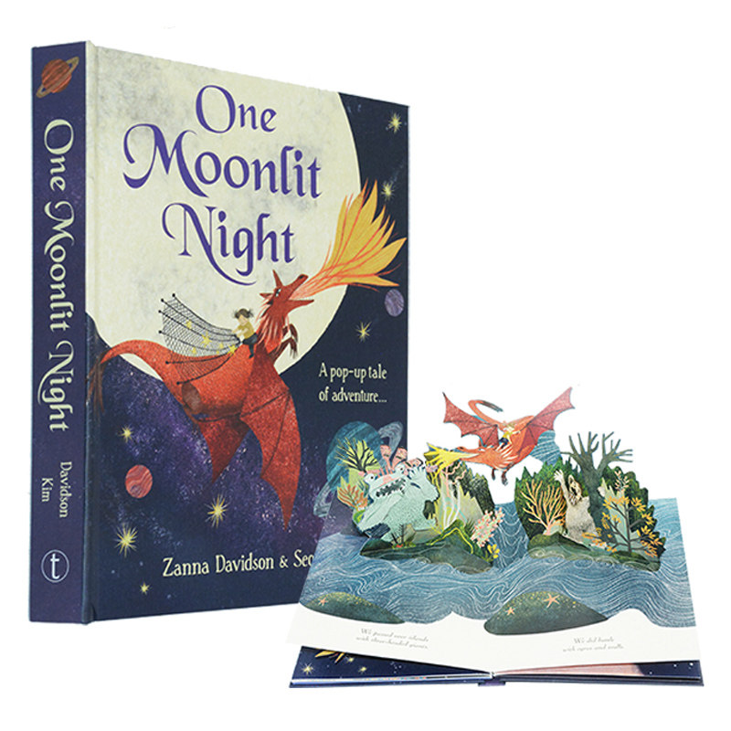 英文原版绘本 One Moonlit Night月夜儿童冒险故事书翻页弹出式精装立体书_虎窝淘