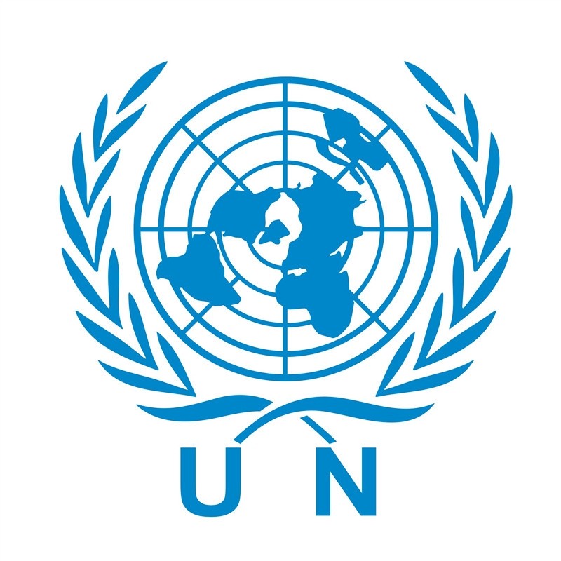 防水反光汽车贴纸宇航员天宫火箭贴中国航天总局CNSA联合国UN贴_虎窝淘