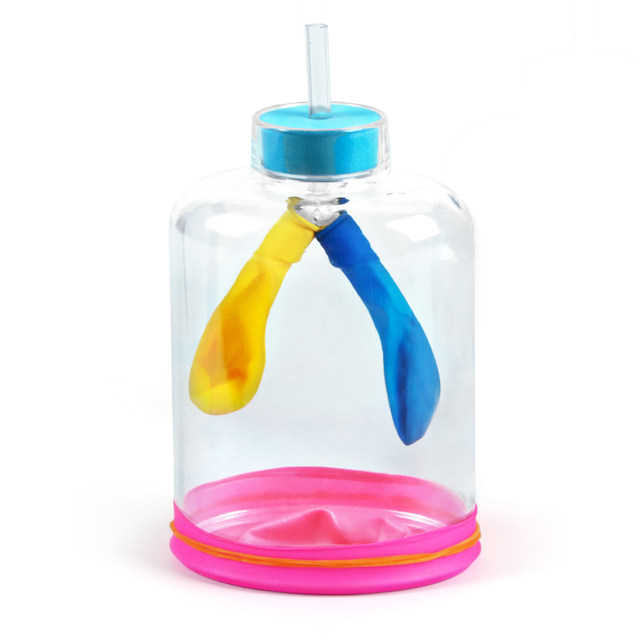 Lung breathing model diy technology small production diaphragm movement ...