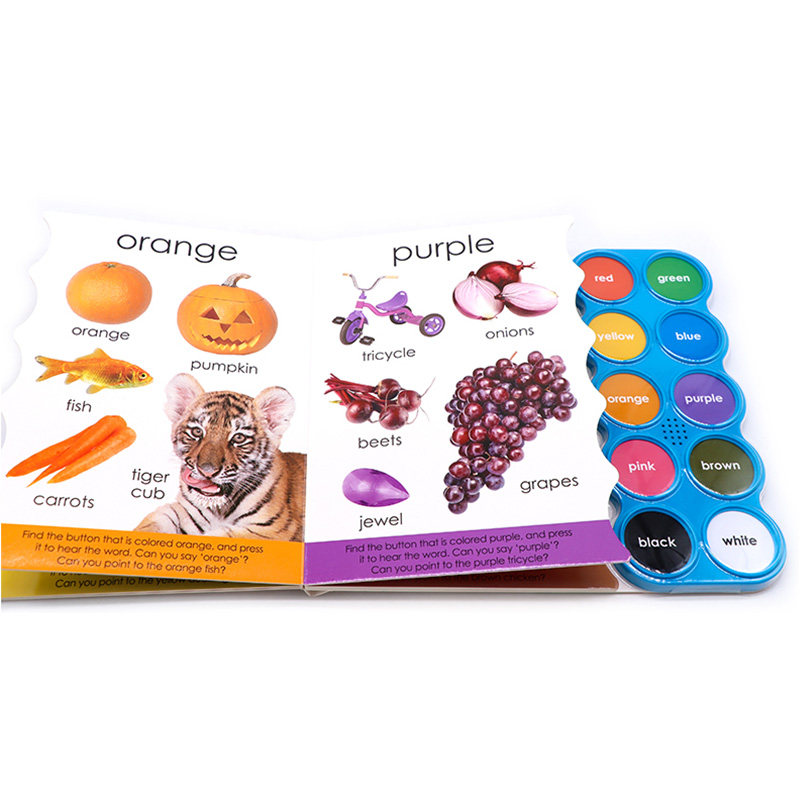 现货宝宝的颜色单词启蒙发声纸板书英文原版绘本 Let's Say Our Colors低幼儿童颜色启蒙认知单词学习图画书Simple ...