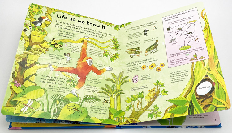 英文原版 Usborne看里面系列 See Inside Science揭秘科学纸板翻翻书大开本尤斯伯恩儿童科普认知绘本_虎窝淘