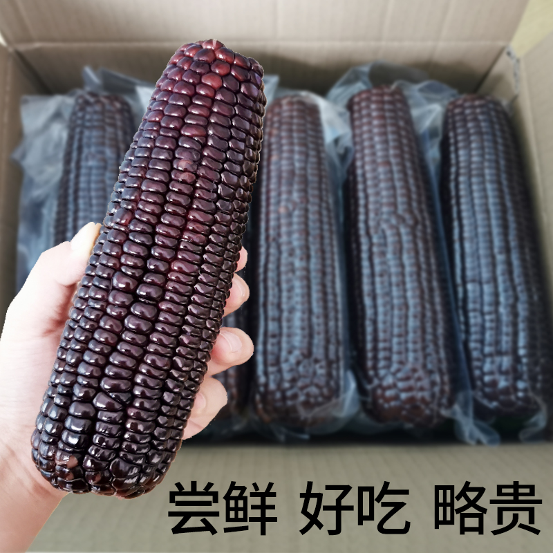 析芮东北玉米糯玉米棒10根新鲜香甜软糯粘黏真空装包代餐有机苞米虎窝淘