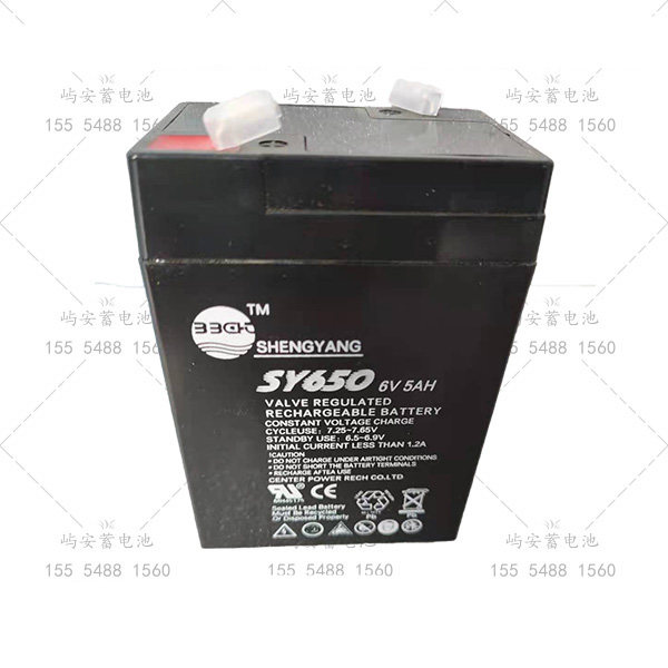SHENGYANG晟阳蓄电池 SY640 6V4AH 6V5AH玩具车童车电子称用电瓶_虎窝淘