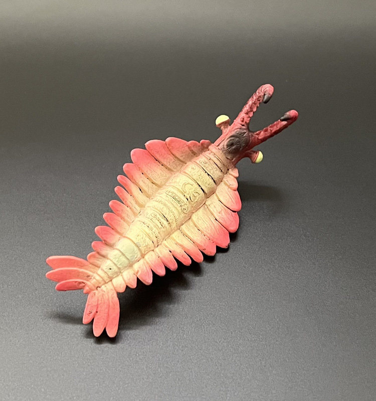 collecta我你他2023奇虾仿真远古海洋恐龙动物模型儿童玩具88977_虎窝淘