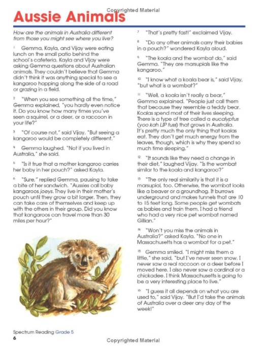 Spectrum Reading Workbook, Grade 5英文原版 Spectrum阅读，5年级_虎窝淘