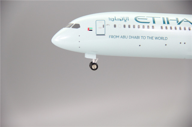 Ruiqing assembled aircraft model Boeing B787-10 Etihad green passenger ...