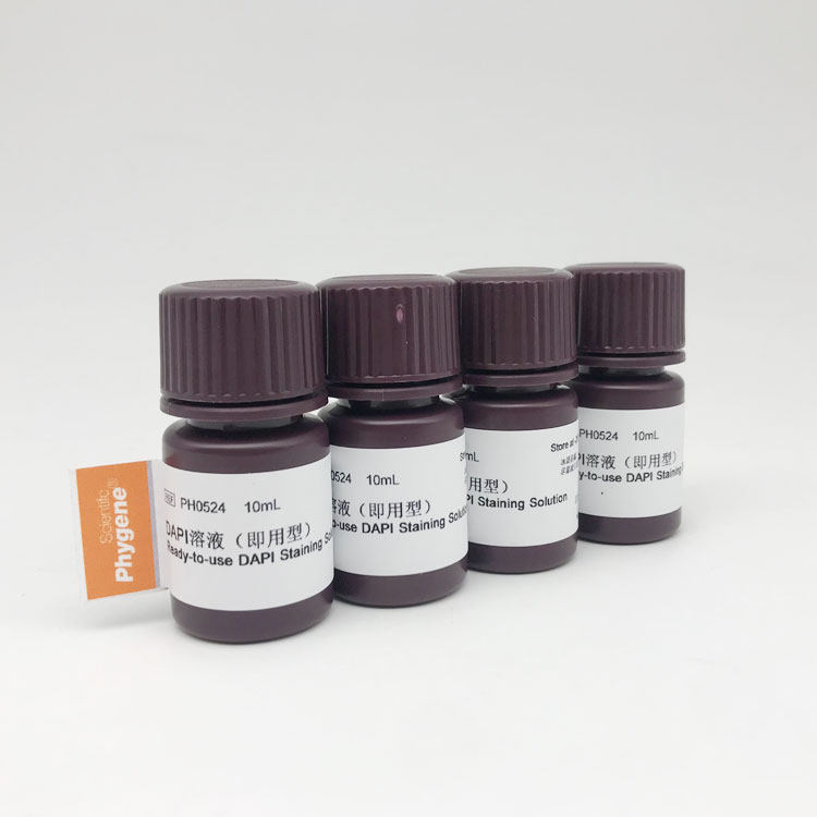DAPI溶液即用型 DAPI染色液科研实验 10mL[PH0524 PHYGENE]_虎窝淘