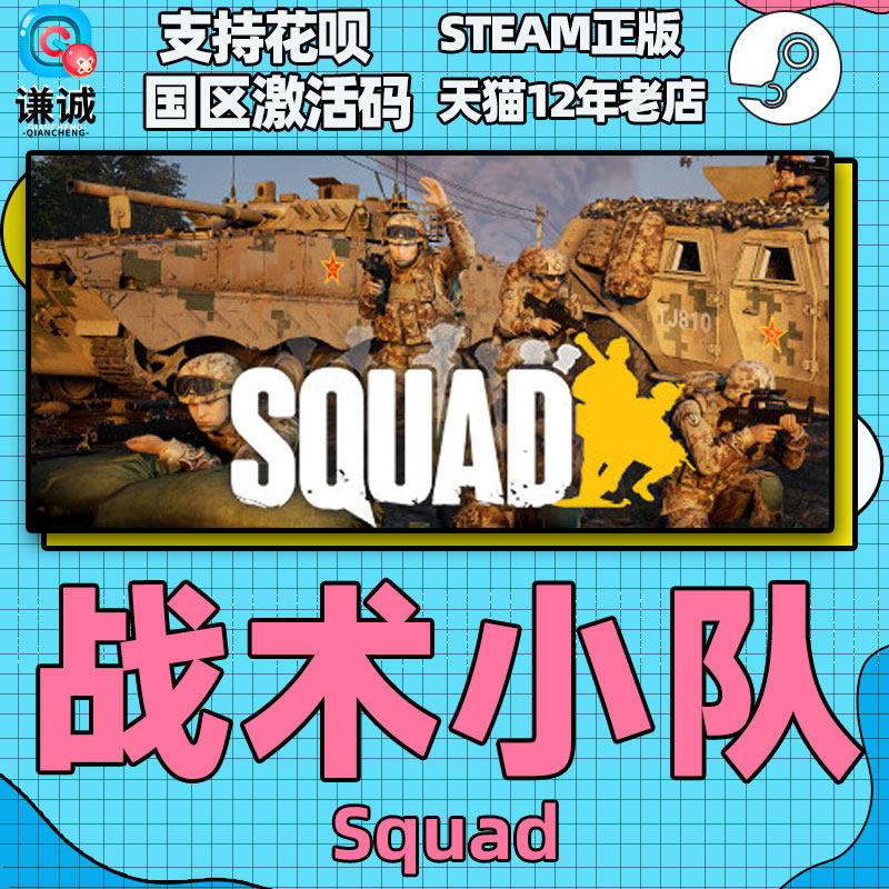steam战术小队 Squad国区激活码cdkey PC中文正版秒发_虎窝淘