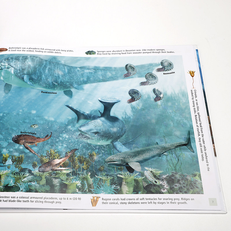 DK出版幼儿百科全书Lift through time穿越时间的生命探索起源精装绘本儿童启蒙生物知识科普正版进口书大运河同系列英文原版_虎窝淘