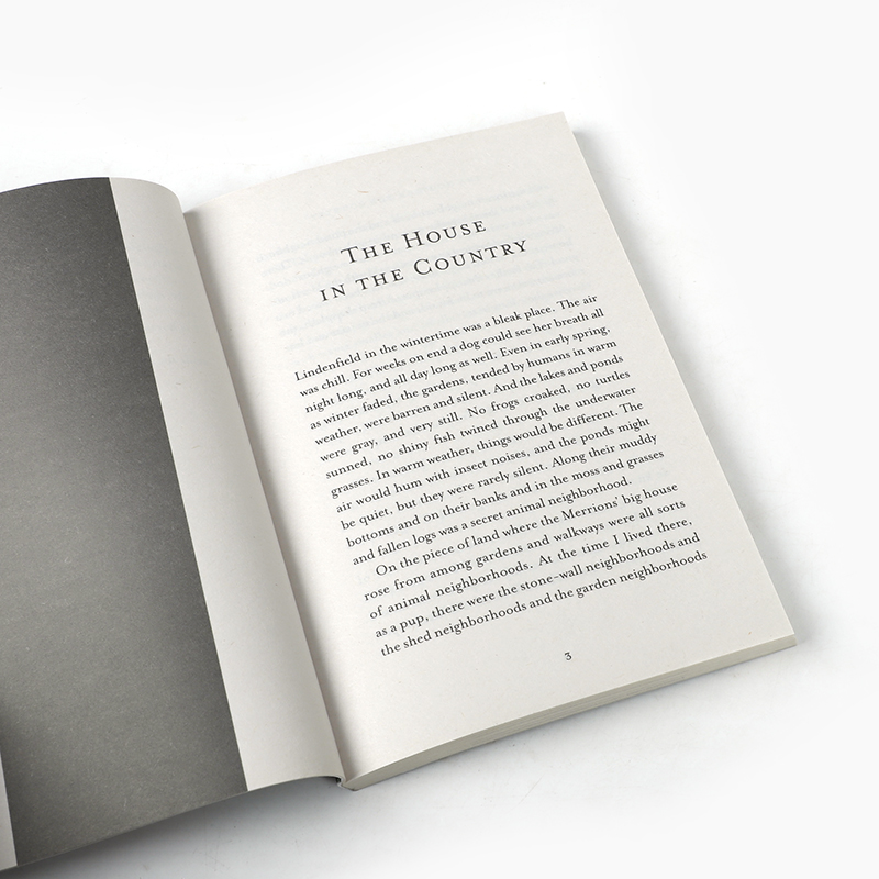 英文原版 Scholastic Gold：A Dog's Life: The Autobiography of a Stray一只流浪狗的自传 ...