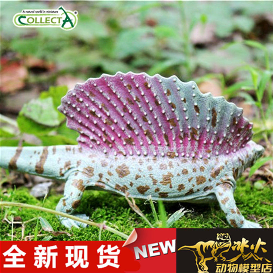 COLLECTA我你他野生动物恐龙模型玩具基龙 88840全新现货_虎窝淘