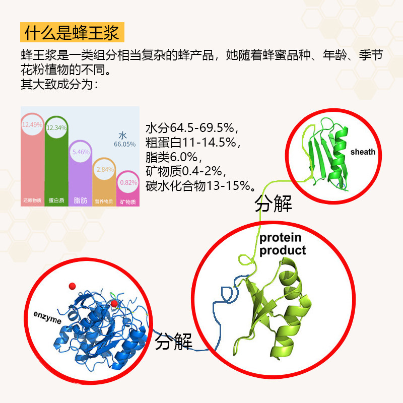 澳洲原装Colden hive蜂皇乳蜂王浆胶囊双向调血压提高体质365粒_虎窝淘