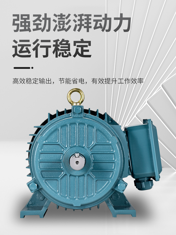 三相电动机Y100L2-4 3KW/1.1/2.2/YE3-100L-2 3KW全铜电动机380V_虎窝淘