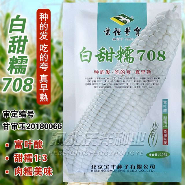 White, sweet and waxy corn seeds are high-yielding and can be sown in ...