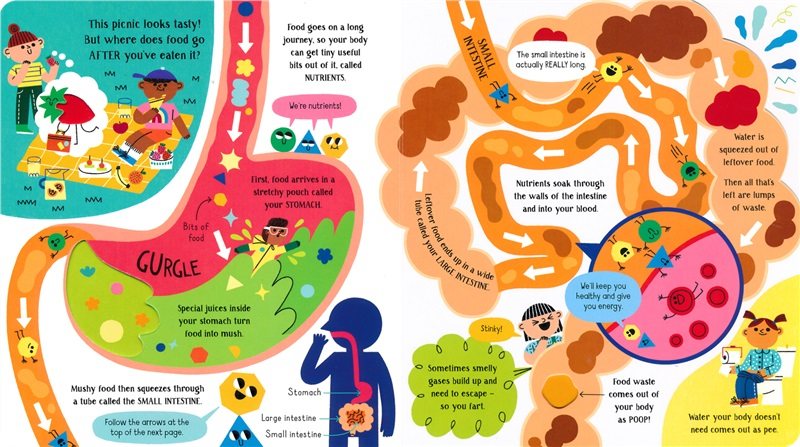 英文原版 Usborne Step Inside Science Your Body走进科学你的身体尤斯伯恩认识人体翻翻洞洞书 STEM 3 ...