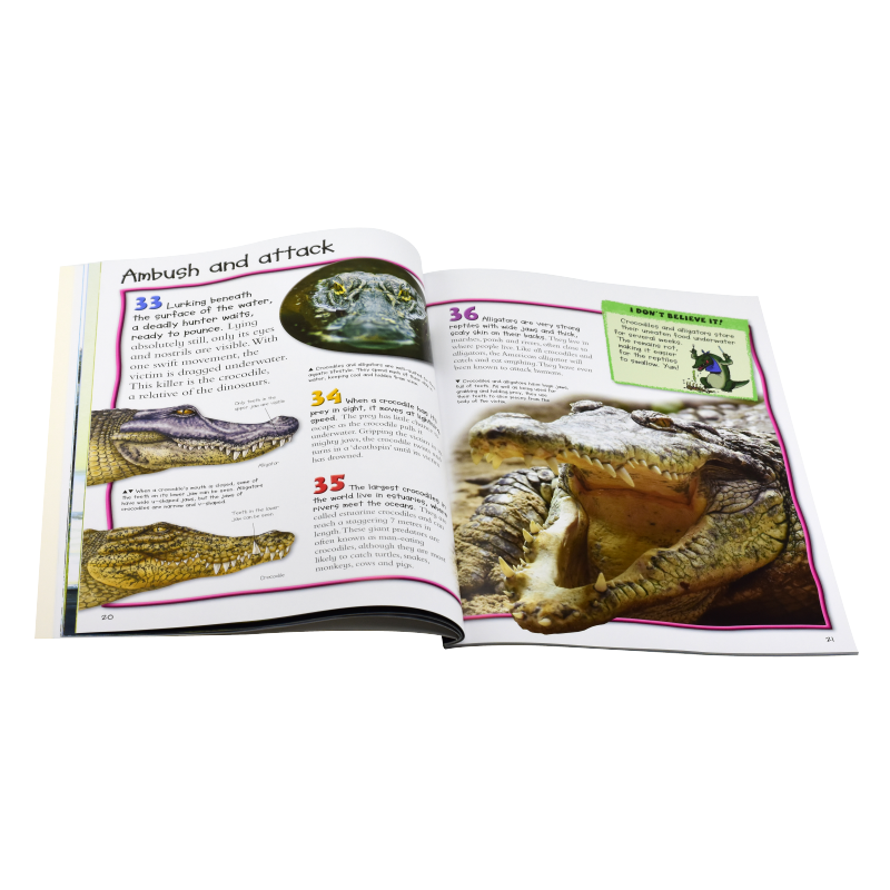 100 Facts Deadly Creatures 100个事实系列致命动物儿童百科科普知识全书全彩英国进口英文原版进口_虎窝淘