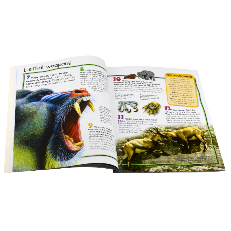 100 Facts Deadly Creatures 100个事实系列致命动物儿童百科科普知识全书全彩英国进口英文原版进口_虎窝淘