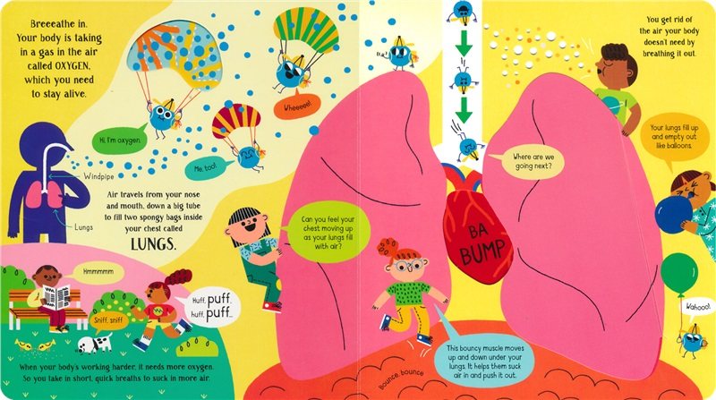 英文原版 Usborne Step Inside Science Your Body走进科学你的身体尤斯伯恩认识人体翻翻洞洞书 STEM 3 ...