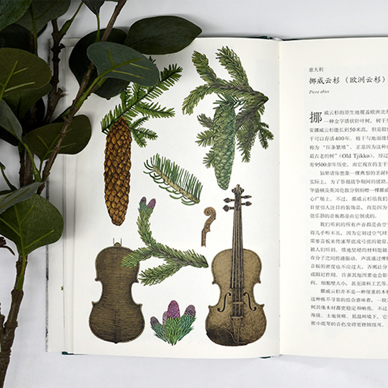 【新华文轩】环游世界80种树(英)乔纳森·德罗里(Jonathan Drori)正版书籍新华书店旗舰店文轩官网华中科技大学出版社_虎窝淘