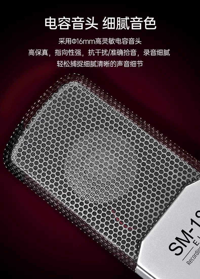Takstar/得胜 SM18-EL电容麦克风 k歌喊麦直播设备专业录音话筒_虎窝淘