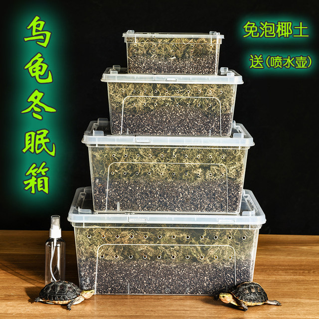 Turtle hibernation supplies Brazilian turtle winter equipment special ...