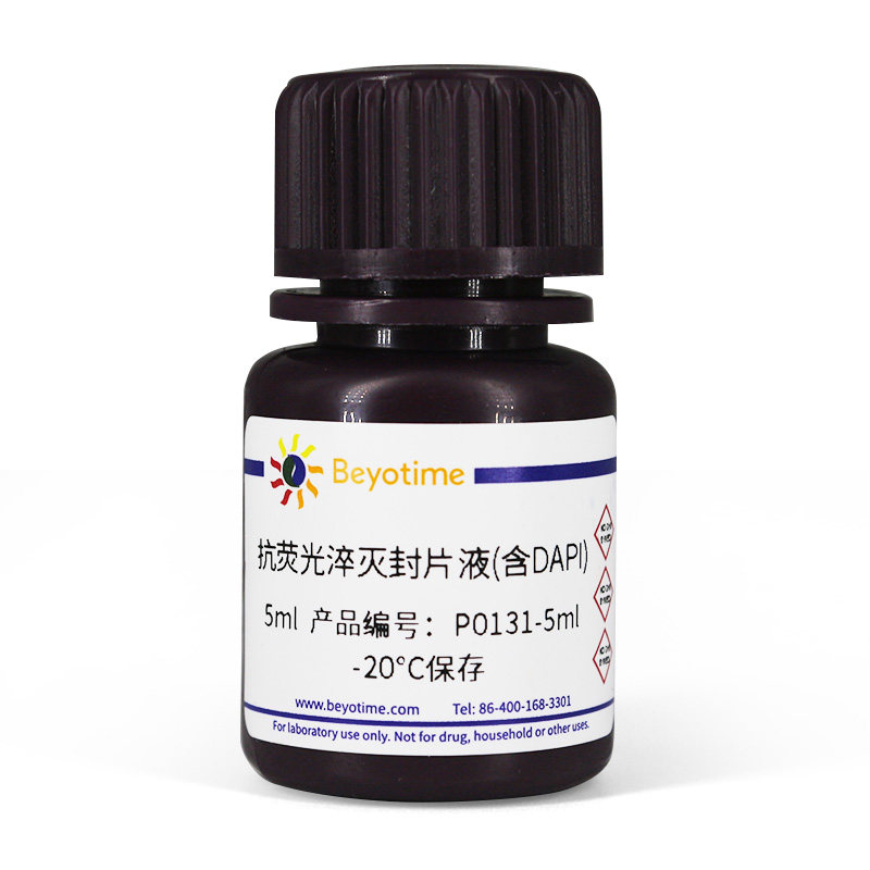 碧云天Beyotime P0131-5ml P0131-25ml抗荧光淬灭封片液(含DAPI)_虎窝淘