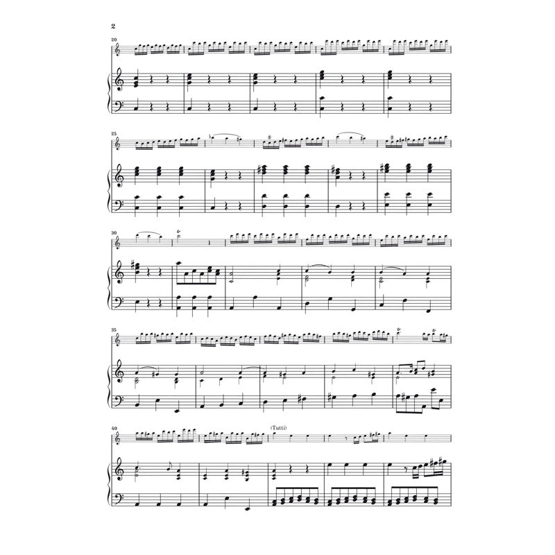 亨乐原版维瓦尔第 C大调长笛协奏曲附钢琴伴奏 Vivaldi Flautino Concerto(Recorder/Flute) C ...