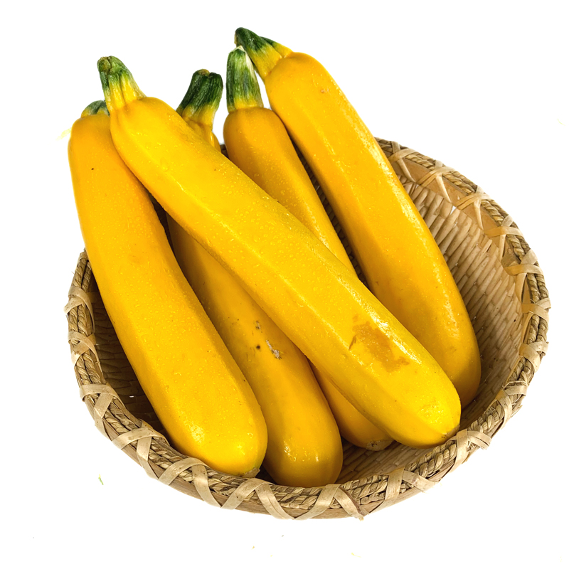 茄瓜是西葫芦吗,河南的茄瓜是什么,西葫芦和茄瓜的区别(第12页)_大山谷图库