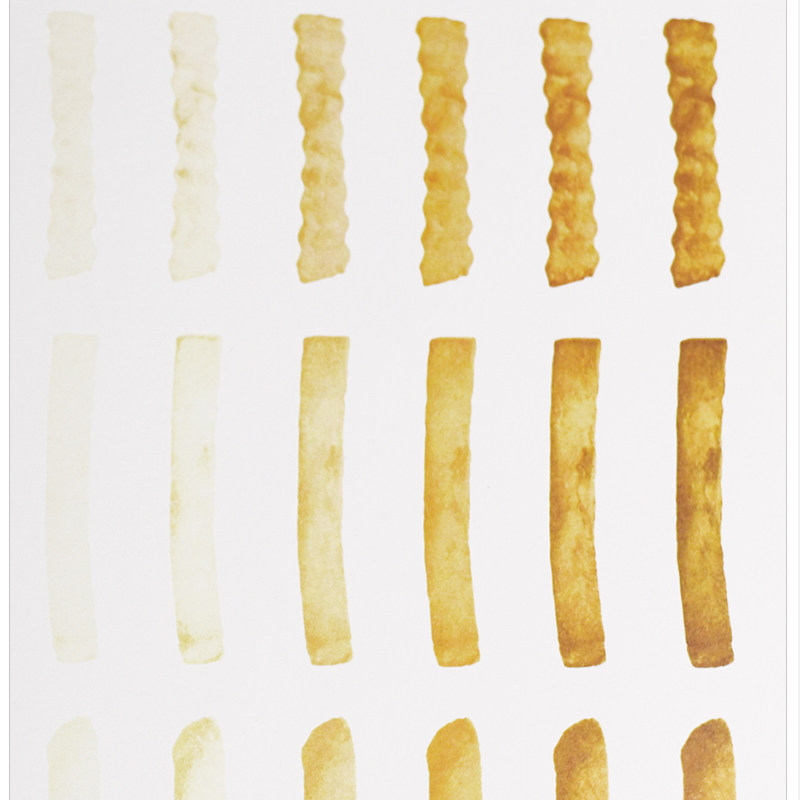 MUNSELL孟塞尔薯条色卡USDA冷冻法式炸薯条标准-每套5张 Munsell USDA Frozen French Fry ...