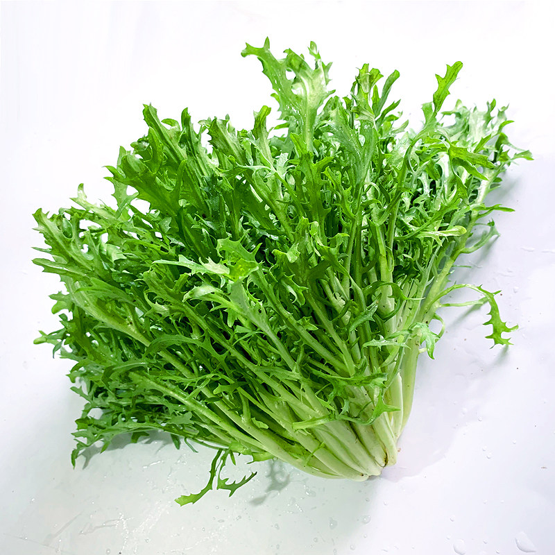 新鲜苦菊苦细叶苦叶生菜狗牙菜苦苣西餐沙拉轻食蔬菜食材_虎窝淘