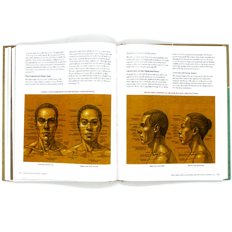 现货 Classic Human Anatomy in Motion经典人体运动解剖学绘画作品集英文原版_虎窝淘