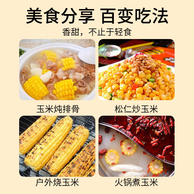 东北玉米新鲜糯玉米黏玉米甜糯玉米真空装粘玉米黄糯玉米虎窝淘