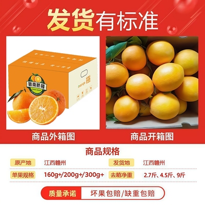 正宗江西赣南脐橙新鲜现摘橙子