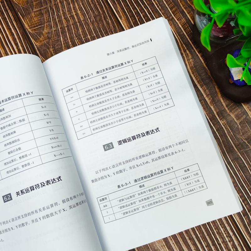 正版c语言从入门到精通c语言程序设计电脑编程入门零基础自学轻松学c语言入门计算机软件程序员开发教程教材书籍虎窝淘