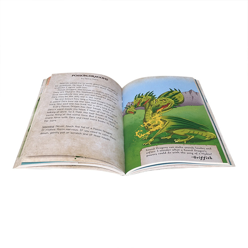 英文原版Griffith's Guide for Dragon Masters格里菲斯的驯龙大师指南驯龙大师系列儿童侦探冒险小说可搭驯龙高手_虎窝淘