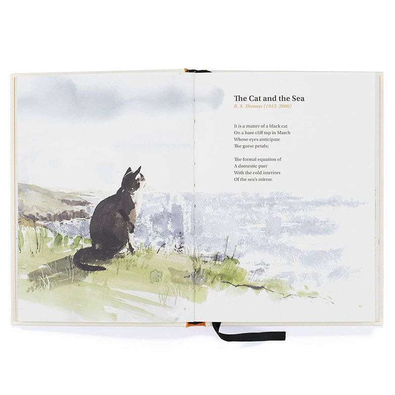 【现货】The Book of Cat Poems 猫咪诗歌选集 英文原版图书籍正版 Sarah Maycock 文学诗歌_虎窝淘