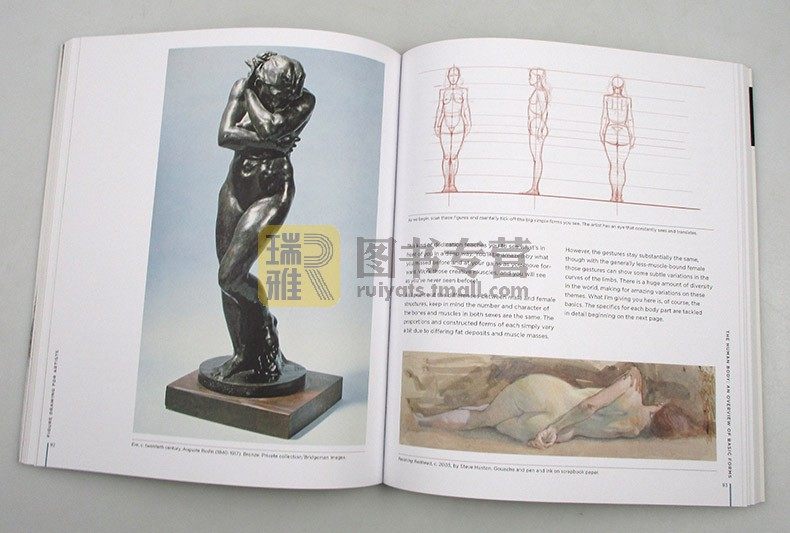 艺术家的人物肖像 英文原版 Figure Drawing for Artists 绘画人物素描艺术书籍 全英文版 Steve Huston ...