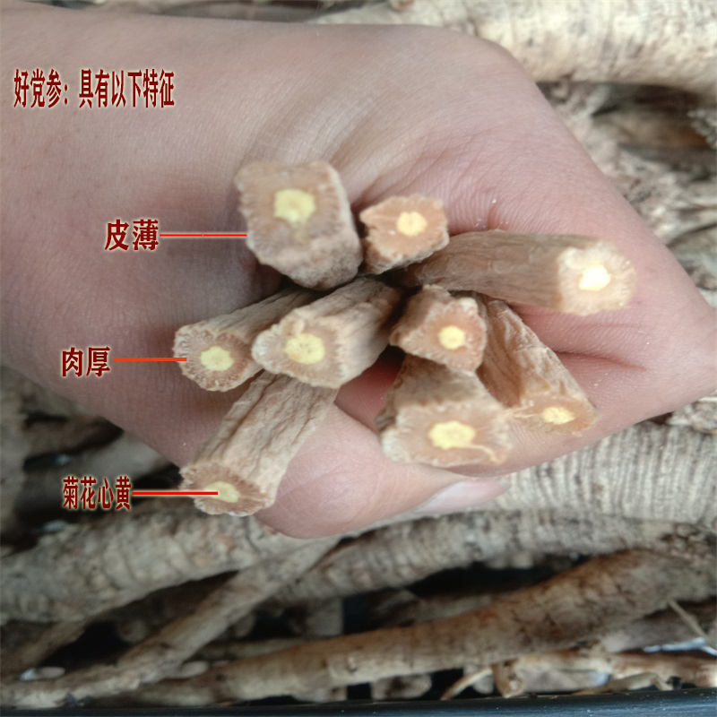 党参500g克包邮特级党叁整条甘肃岷县当参配野生当归北芪黄芪切片_虎窝淘