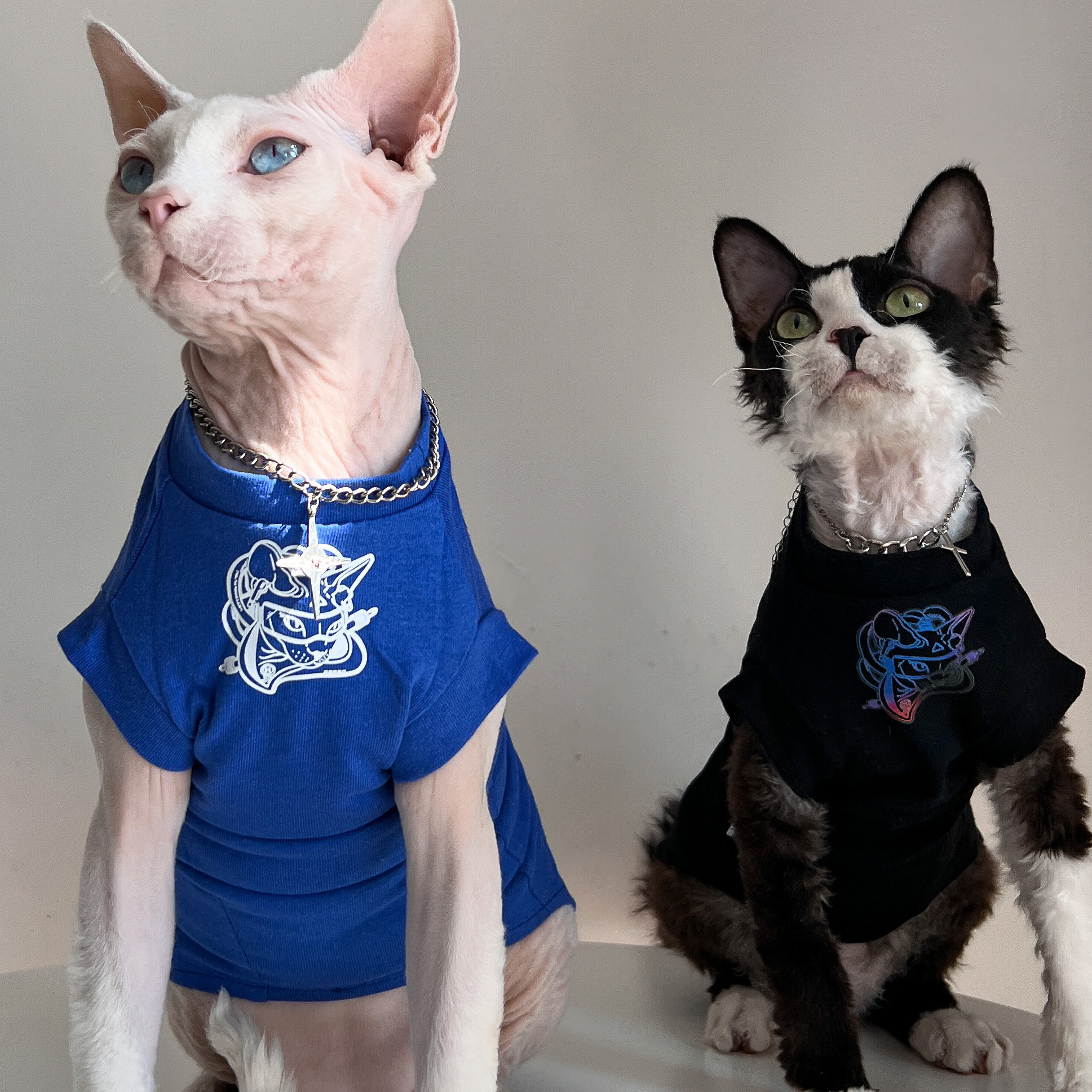 SPHYNX PLANET无毛猫衣服德文猫斯芬克斯设计师纯棉夏季空调无袖_虎窝淘