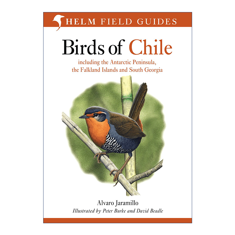 Birds of Chile智利鸟类图鉴_虎窝淘