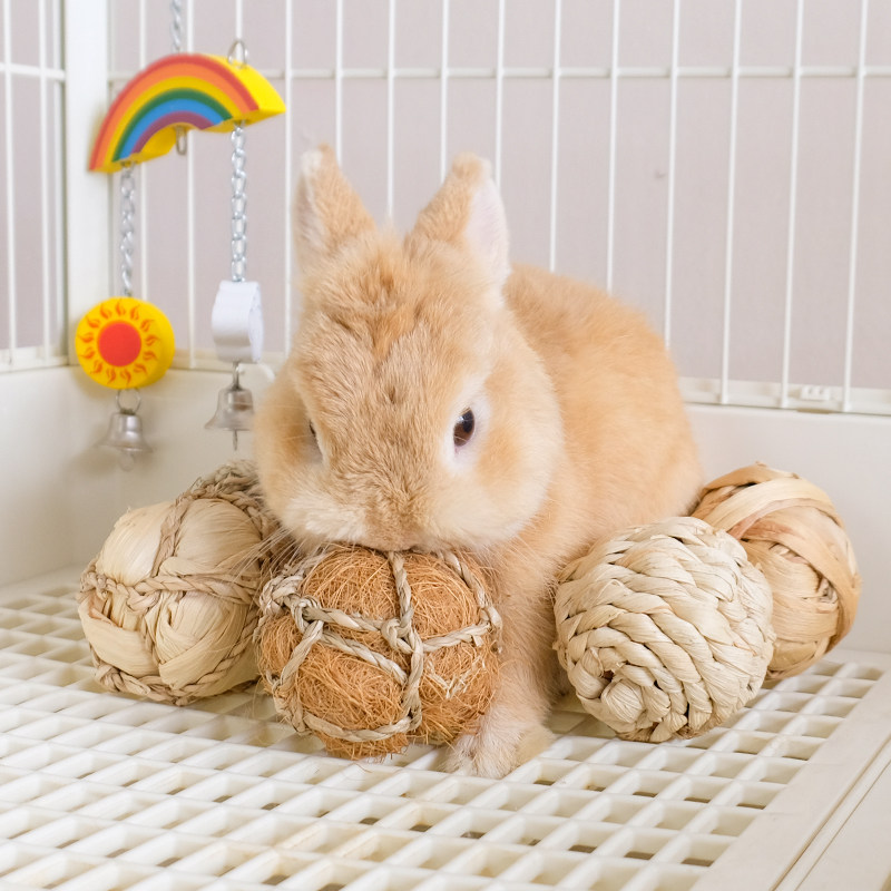 UMI兔子草球草编玩具荷兰猪龙猫松鼠兔子天然磨牙啃咬零食逗乐球_虎窝淘