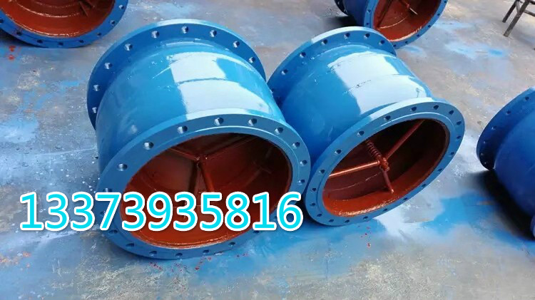 大口径消声止回阀 H42X-16消音止回阀 DN300 400 500 600 700_虎窝淘