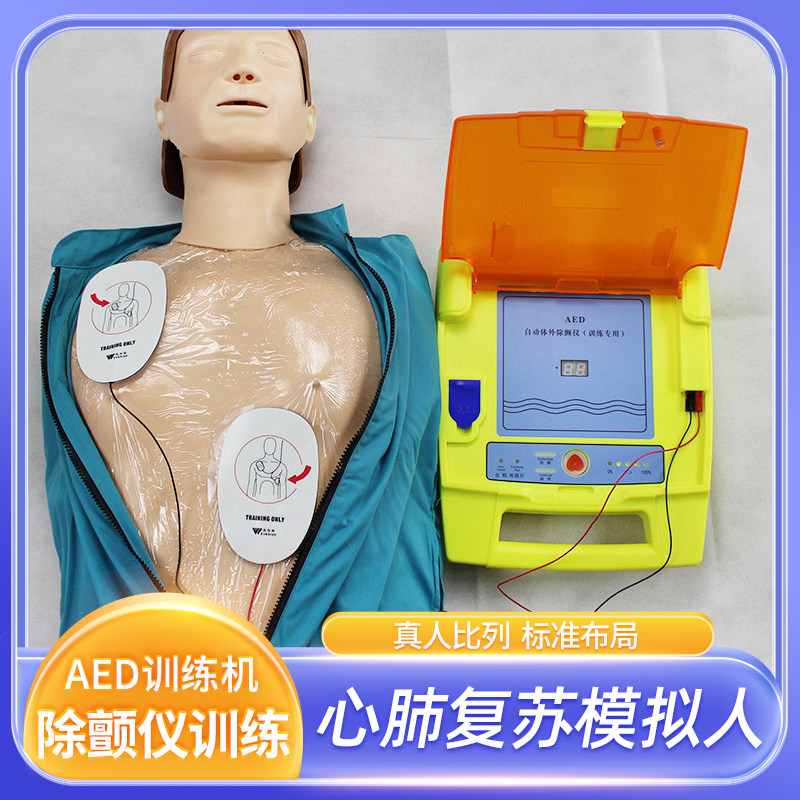 心肺复苏模拟人工呼吸教学假人半身心脏复苏急救训练全身CPR650_虎窝淘