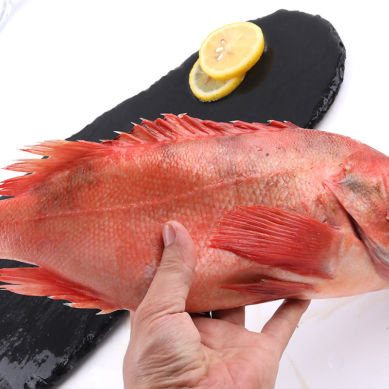 红鱼大眼,大眼红鱼,大眼红鲷鱼_大山谷图库