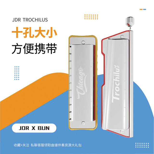 JDR Kardari Blue Make Design Hummingbird Trochilus10 Half -Steculent ...