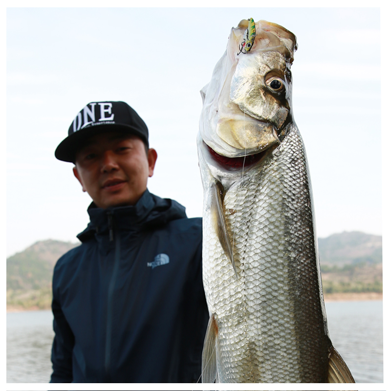 【DNE去路亚】神探VIB金属路亚假饵 11.5g远投翘嘴鲈鱼鳜鱼饵_虎窝淘