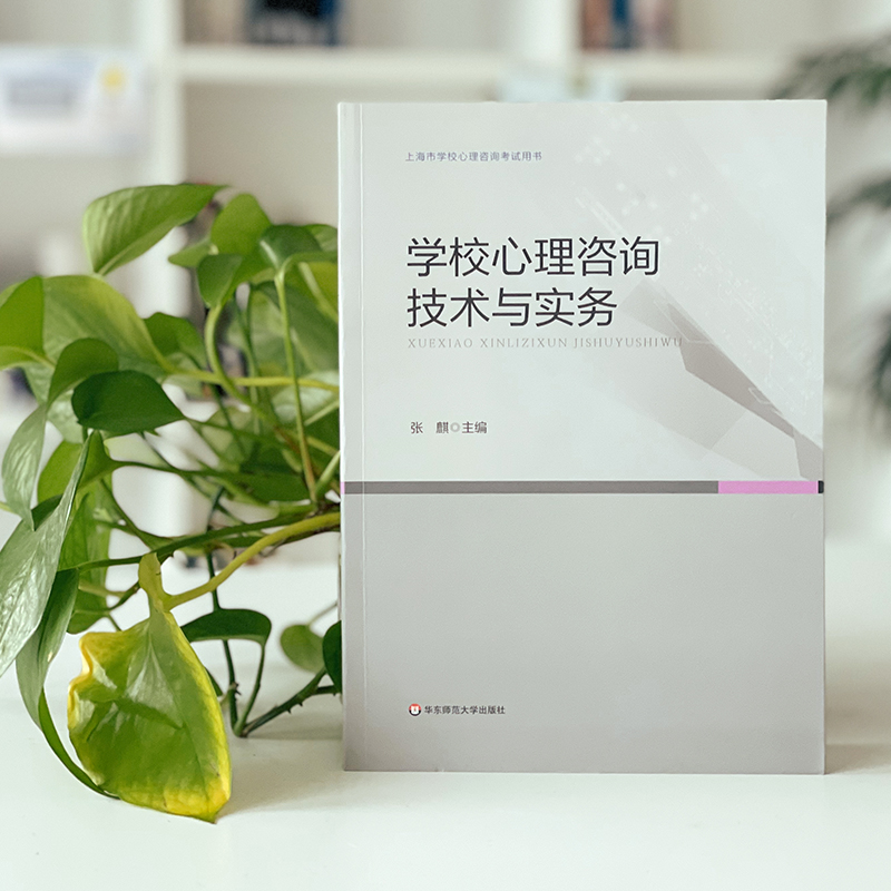 学校心理咨询技术与实务上海市学校心理咨询考试培训用书学校心理教育辅导正版华东师范大学出版社虎窝淘